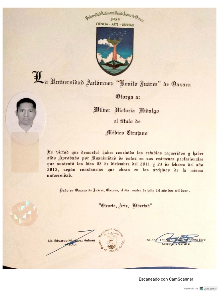 Titulo Medico Cirujano | PDF