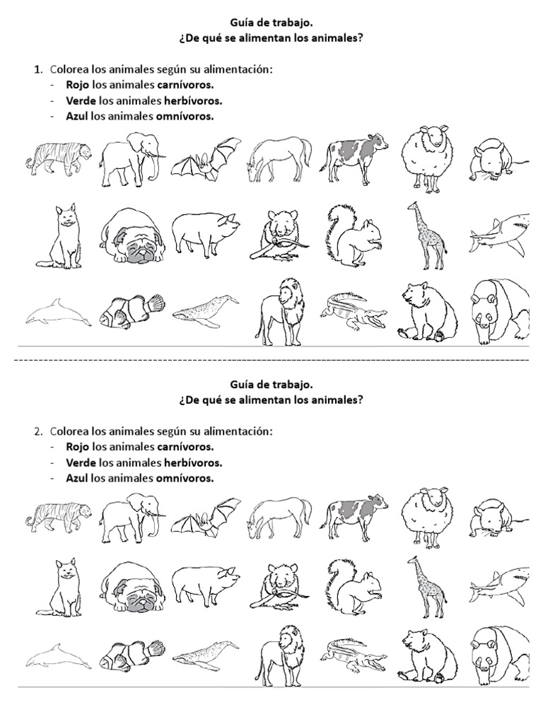Qué Comen Los Animales. | PDF