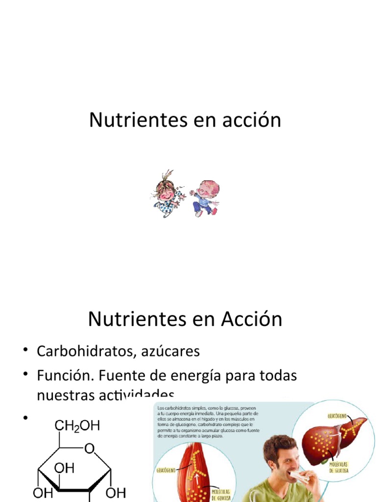 Nutrientes en Acción | PDF