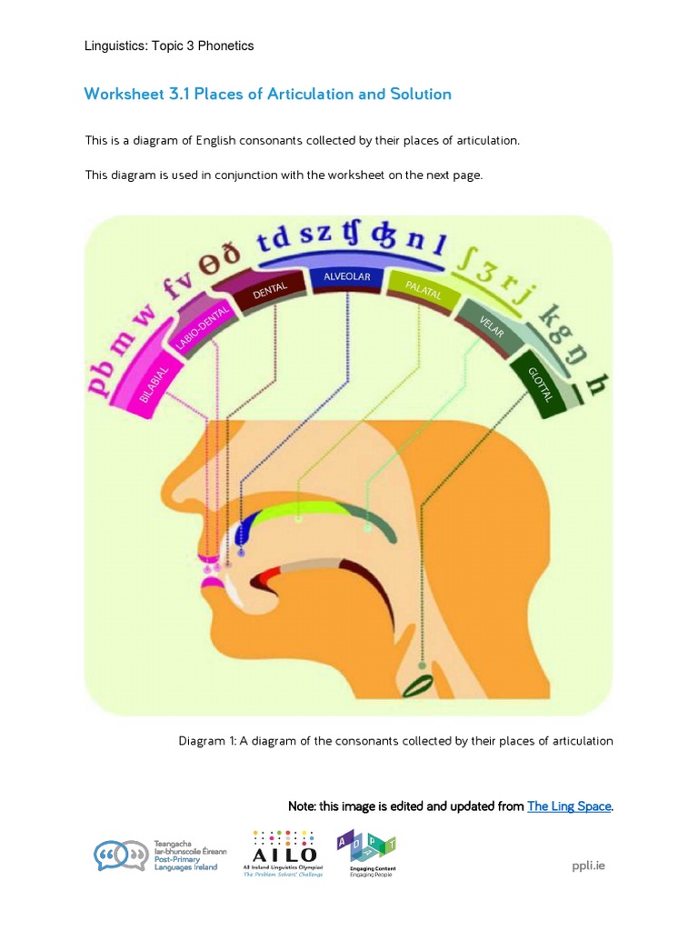 Phonetics: Consonant Articulation Guide | PDF | Language Arts ...