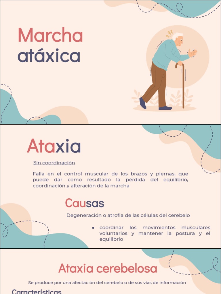 Marcha Atáxica | PDF | Cerebelo | Fisiología