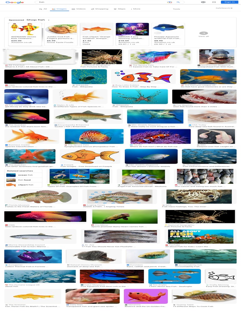 Fish - Google Search | PDF | Fish | Fish And Humans