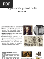 Células Lábiles | PDF | Relaciones personales, crianza y desarrollo ...