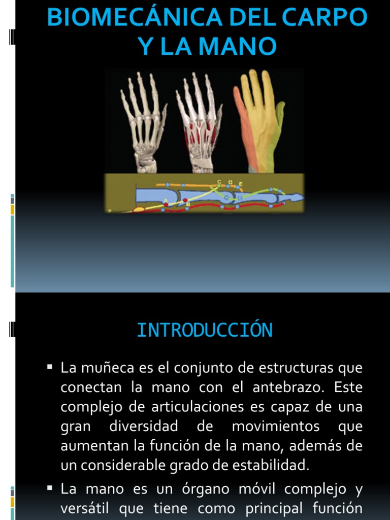 Biomecánica de Carpo y Mano | PDF | Estudios de idiomas extranjeros ...