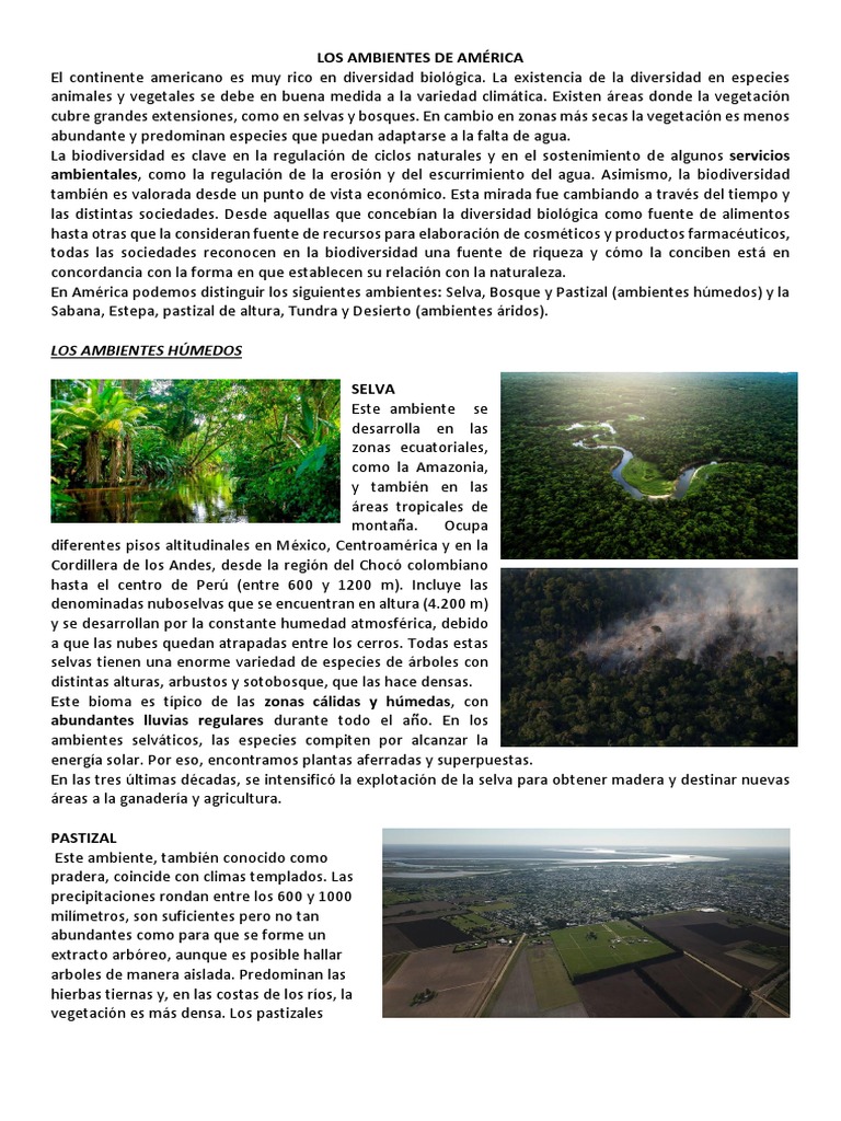 Los Ambientes de América | PDF | Selva | Desierto