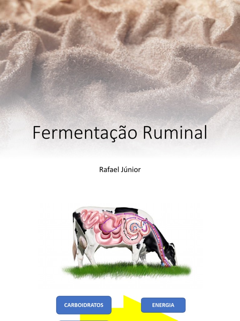 Fermentação Ruminal | PDF | Fermentação | Solução-tampão