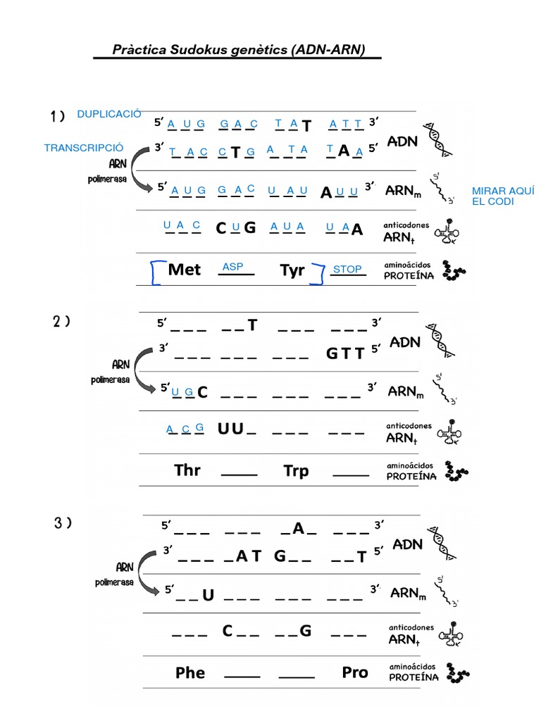Sudokus Geneticos | PDF
