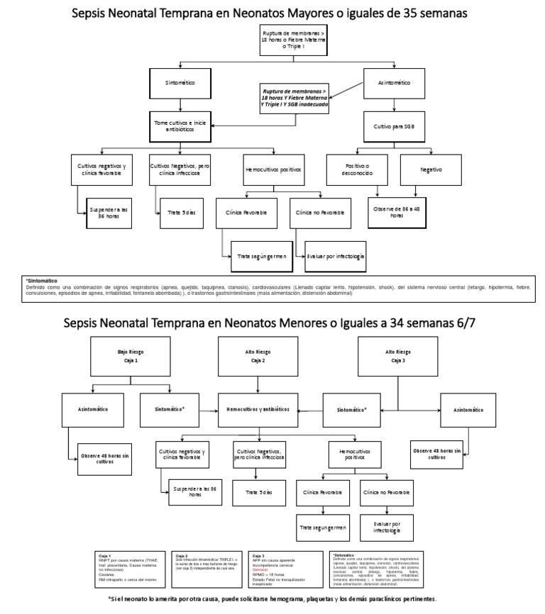 Algoritmos de Sepsis Neonatal Temprana | PDF | Microbiología | Medicina ...