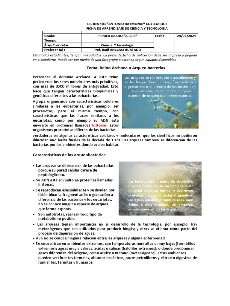 Las Arqueobacterias: organismos unicelulares extremadamente resistentes ...