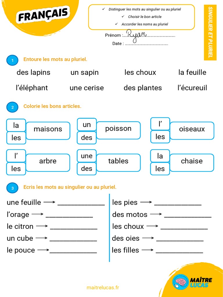 Singulier Et Pluriel 2 | PDF