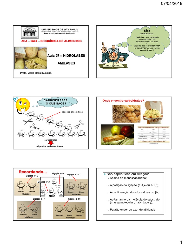 Enzimas Amilolíticas e Hidrolases | PDF | Amido | Enzima