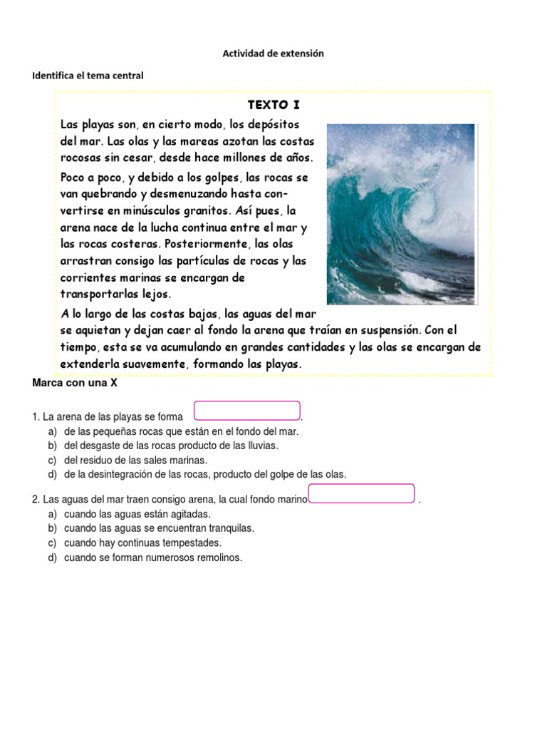 Actividad de Extensión | PDF