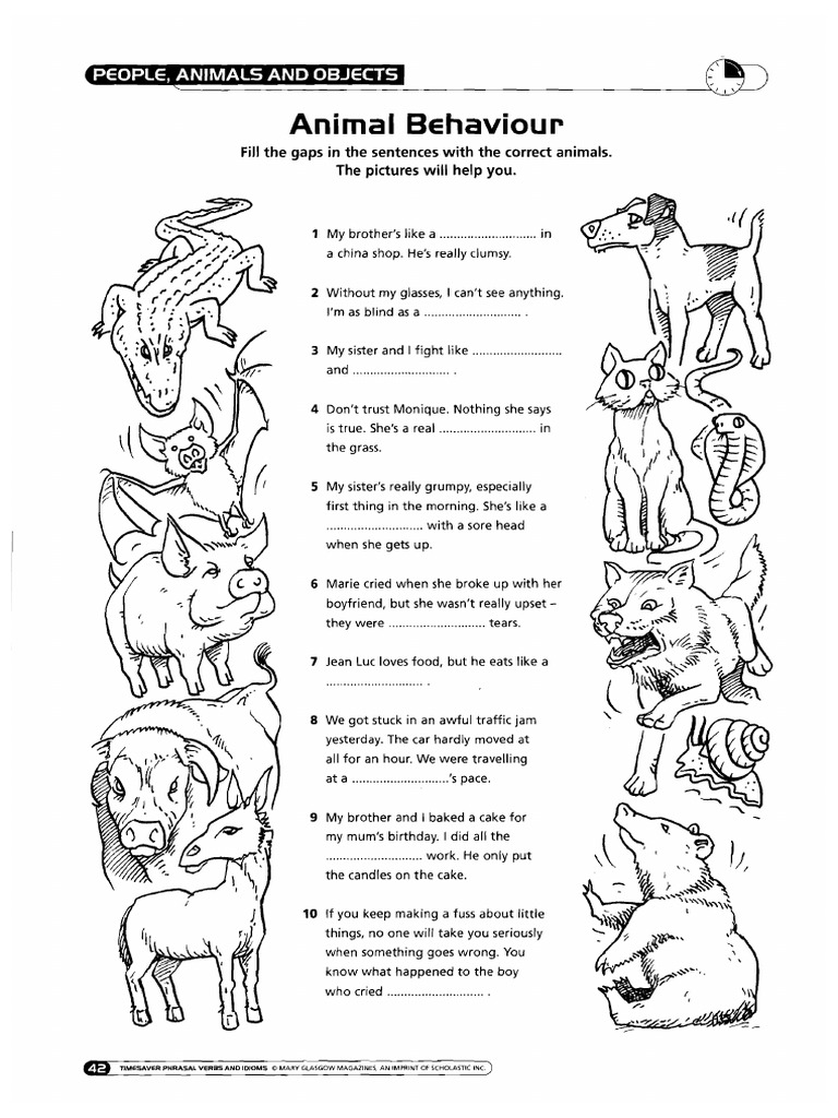 Animal Behaviour - Verbs - and - Idioms | PDF