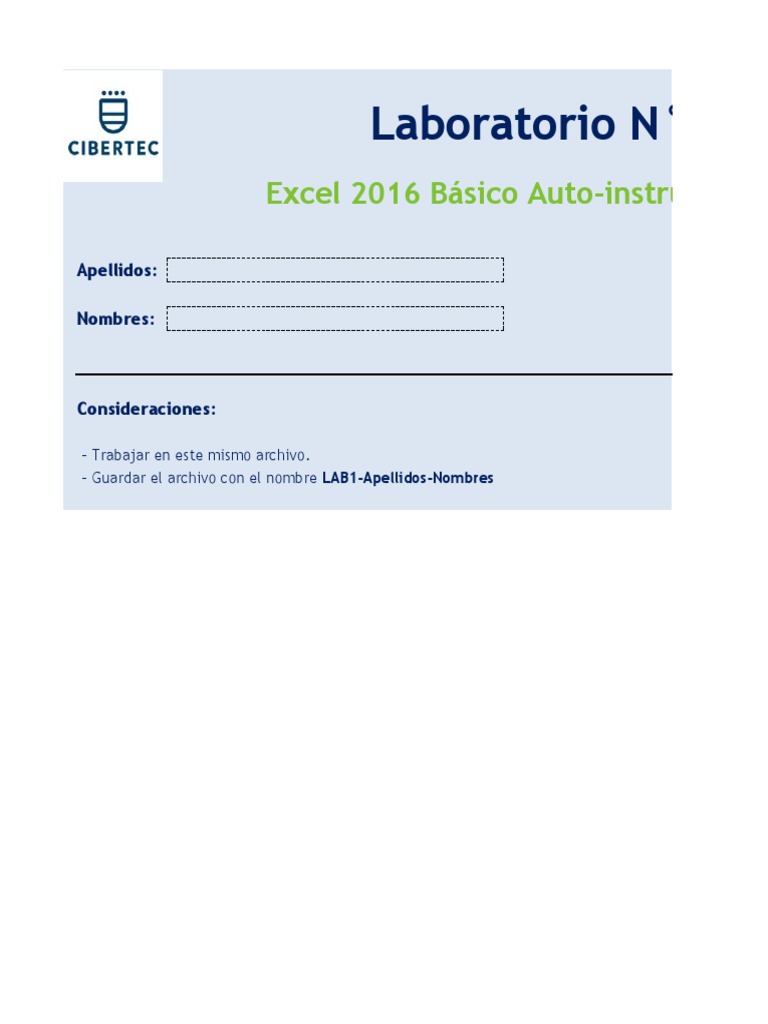 Excel 2016 Basic Lab Instructions | PDF
