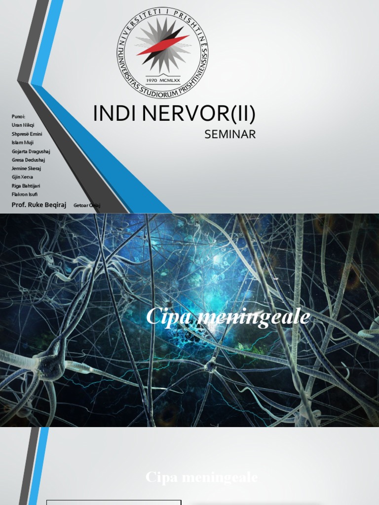 Indi Nervor Seminar | PDF