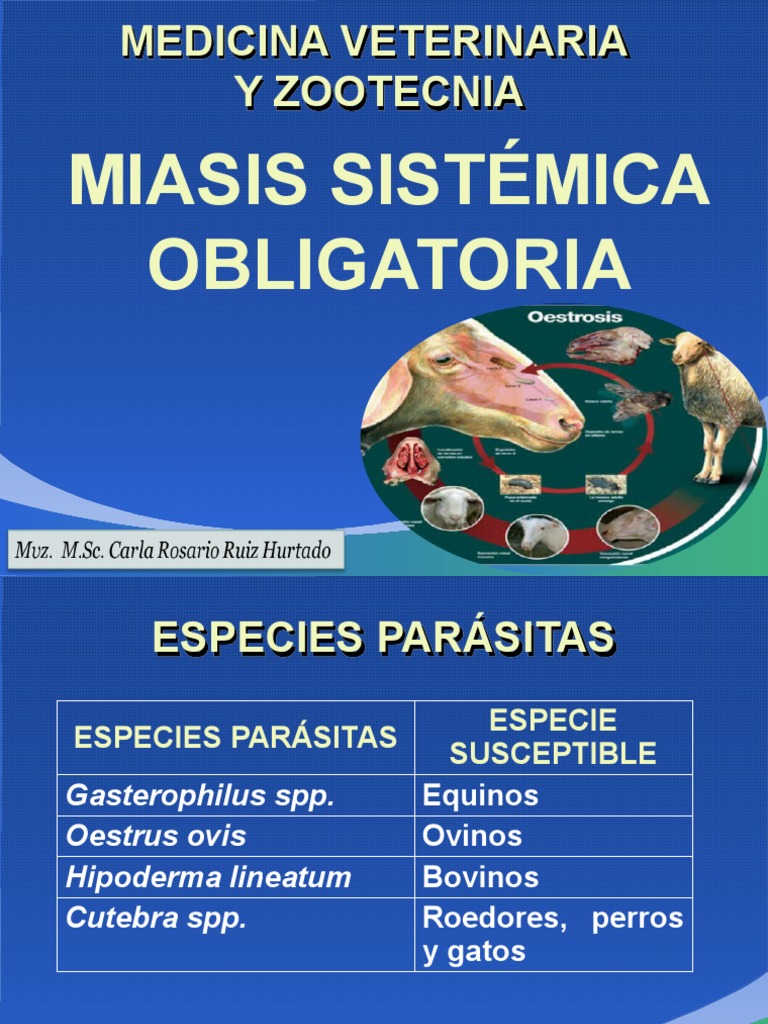 Miasis - Sistémica - CV | PDF | Oveja