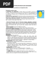 Dieta para Sindrome de Cushing | PDF | Fruta | Vegetales