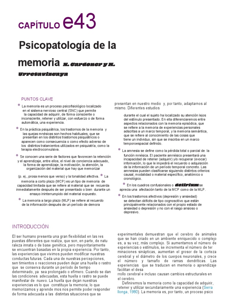 Psicología De La Memoria Pdf Neuroplasticidad Memoria