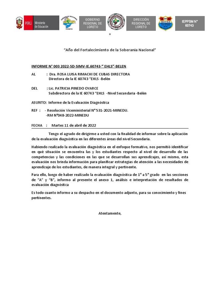Informe Evaluacion Diag - Ugel 2-Ok | PDF | Aprendizaje | Evaluación