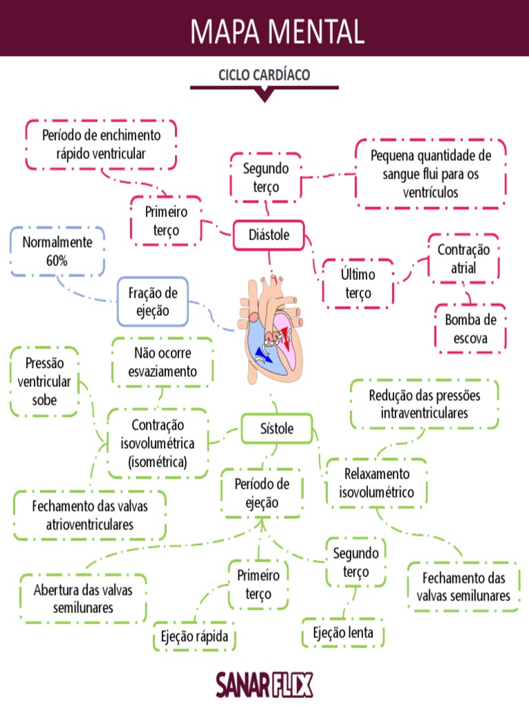 Mapa Mental - Ciclo Cardíaco | PDF