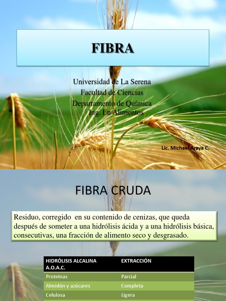 FIBRA | PDF | Fibra dietética | Dieta y nutrición
