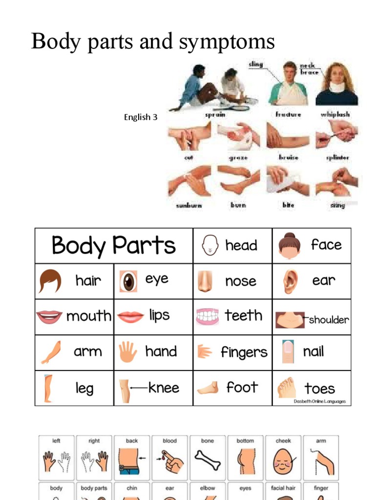 Body Parts and Symptoms - Present Perfect | PDF