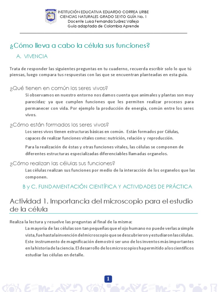 Funciones y Estructura de las Células | PDF | Ciencia y matemáticas