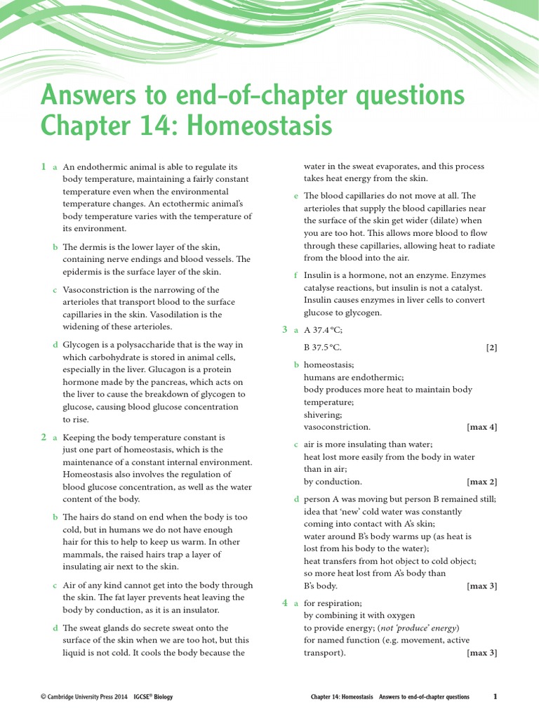 Answers To End of Chapter Questions Chapter 14 Homeostasis | Download Free PDF | Glucose | Glycogen