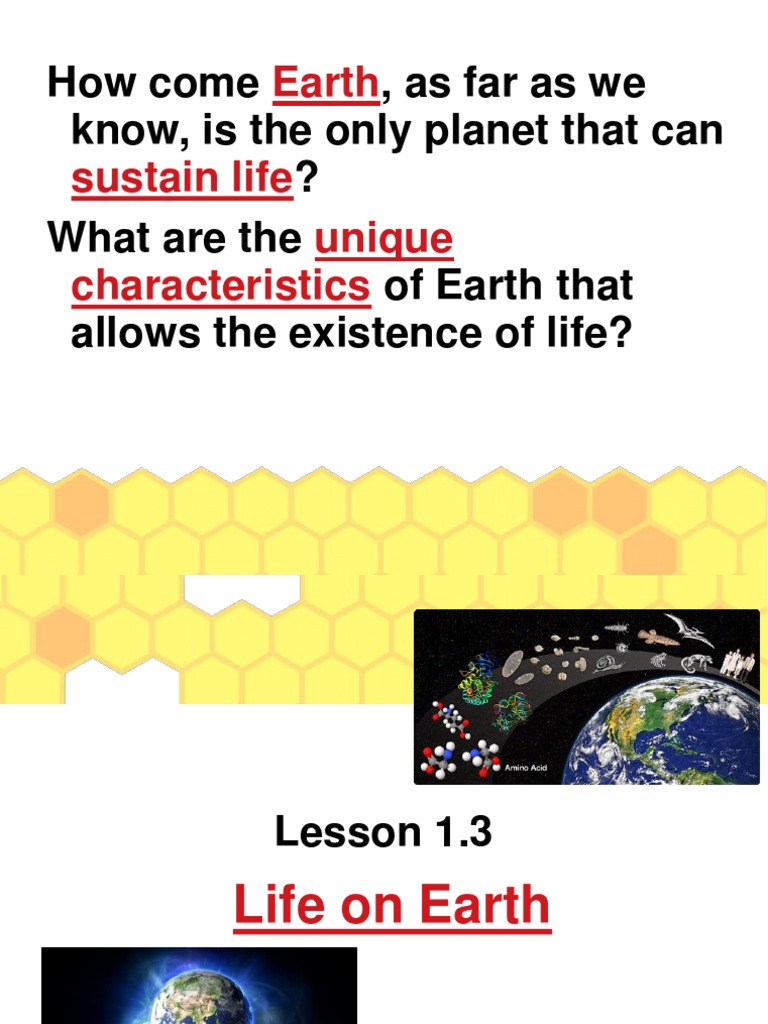 Earth's Unique Conditions for Life | PDF | Earth | Sun