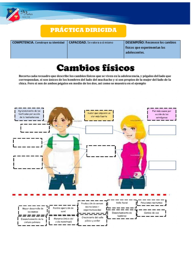 Cambios físicos en la adolescencia | PDF