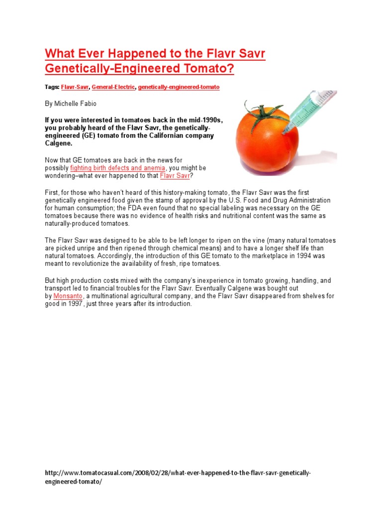 Flavr Savr Tomato: A Historic Overview | PDF