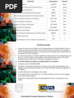 Plan de Estudios BACH UCNL | PDF | Arte | Historia