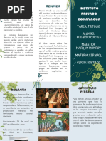 Prisión Verde: Análisis y Contexto | PDF | Honduras