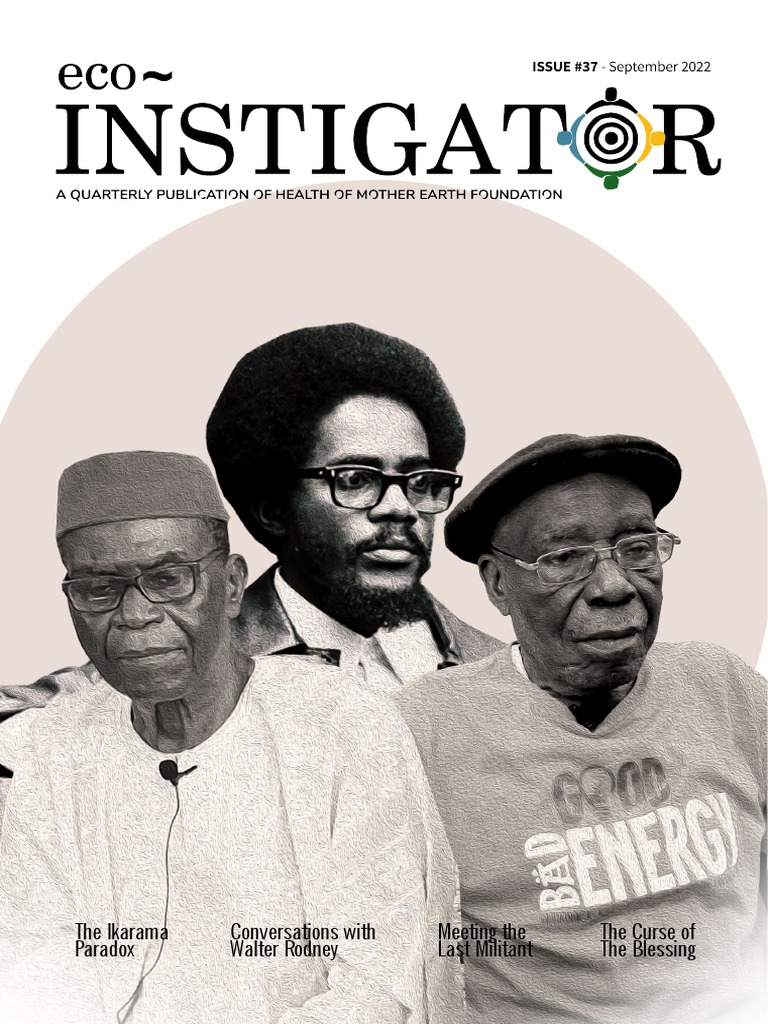 Eco Instigator 37 | PDF | Polycyclic Aromatic Hydrocarbon | Respiratory ...