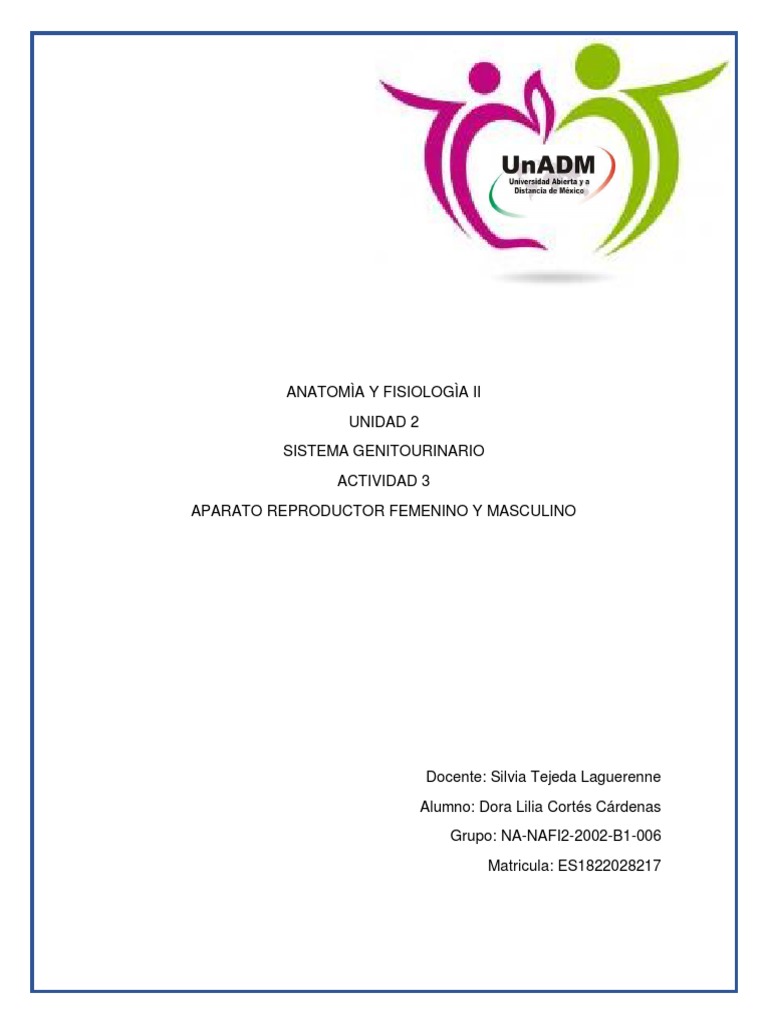 Afi2 U2 A3 Docc | PDF | Sistema reproductivo | Sexo