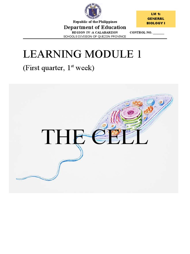 For Review Module Bio 1st Week | PDF