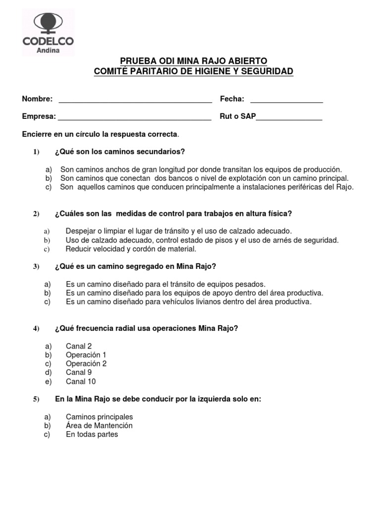 Prueba ODI Mina Rajo | PDF