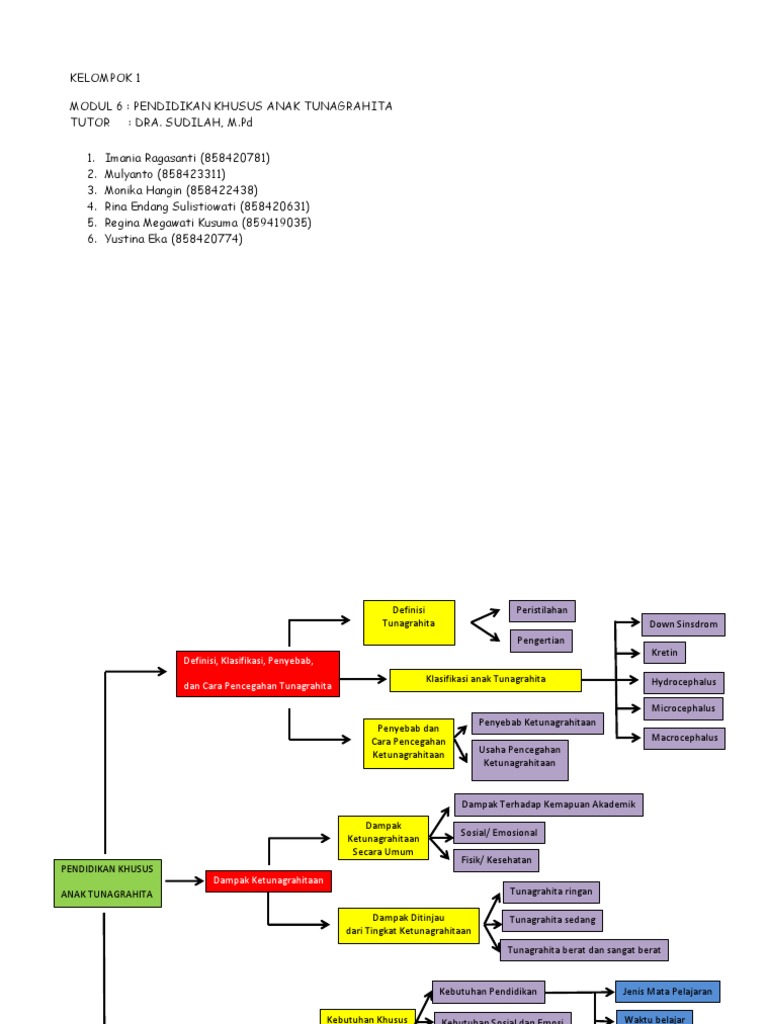 Skema Modul 6 ABK Pendidikan Anak Tunagrahita | PDF