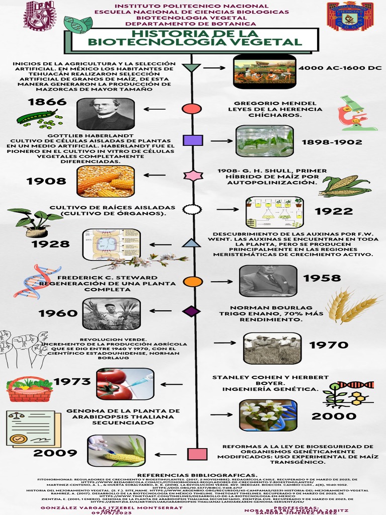 Linea Del Tiempo De La Biotecnologia Por Favor Brainlylat Porn Sex