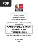 Plan Anual Refcon | PDF