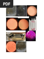 Historia Natural de La Enfermedad Virus Motaba | PDF | Virus ...