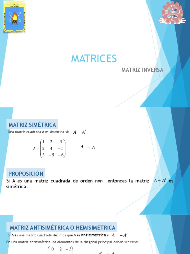 Matrices, Matriz Inversa | PDF | Matriz (Matemáticas) | Teoría de la matriz