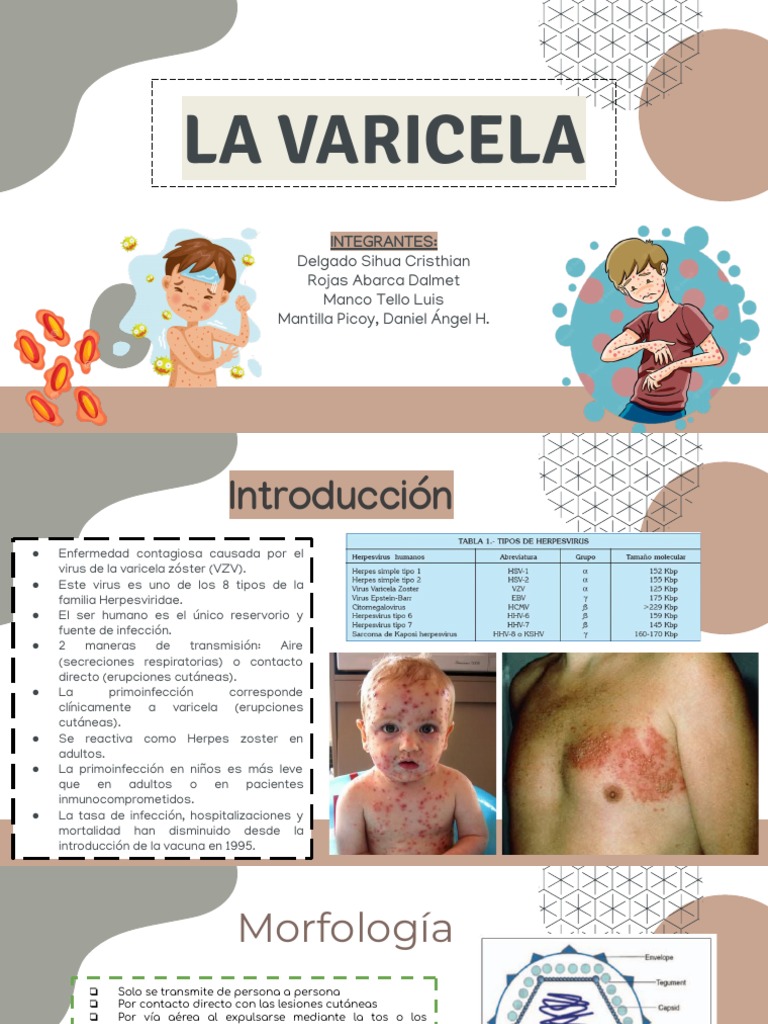 VARICELA-SEMANA 4 | PDF | Virus | Enfermedades virales