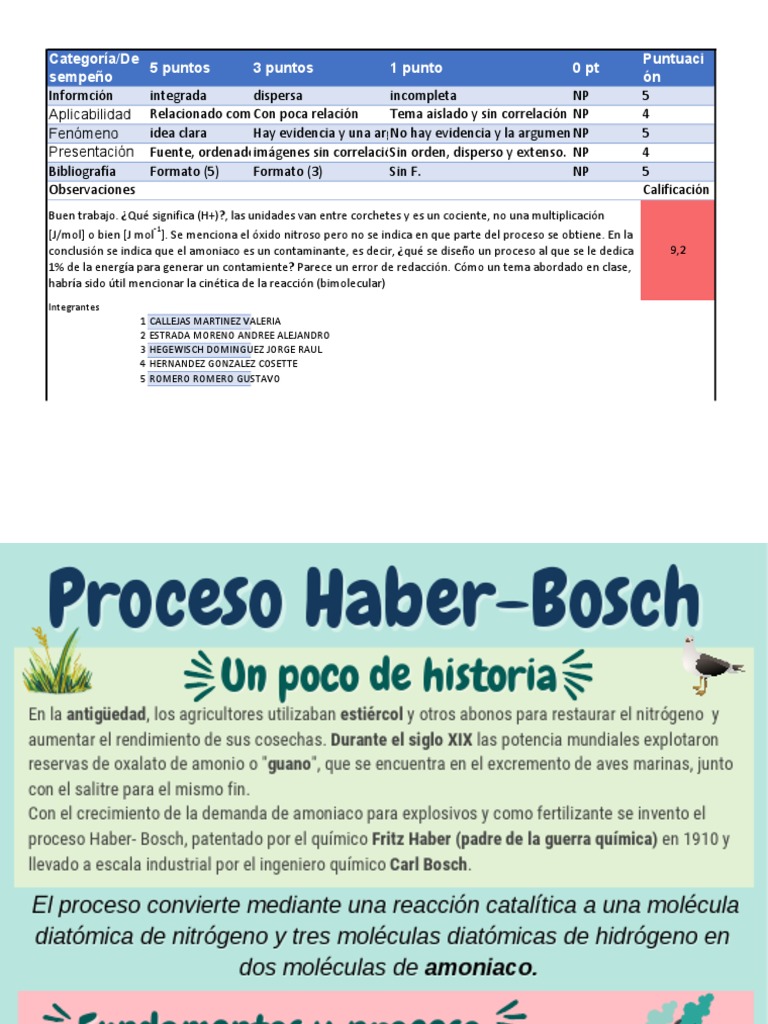 Infografía Proceso Haber-Bosch | PDF | Catálisis | Amoníaco