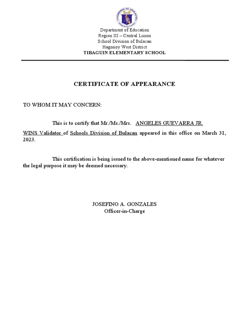 WINS Validation Report for Tibaguin School | PDF
