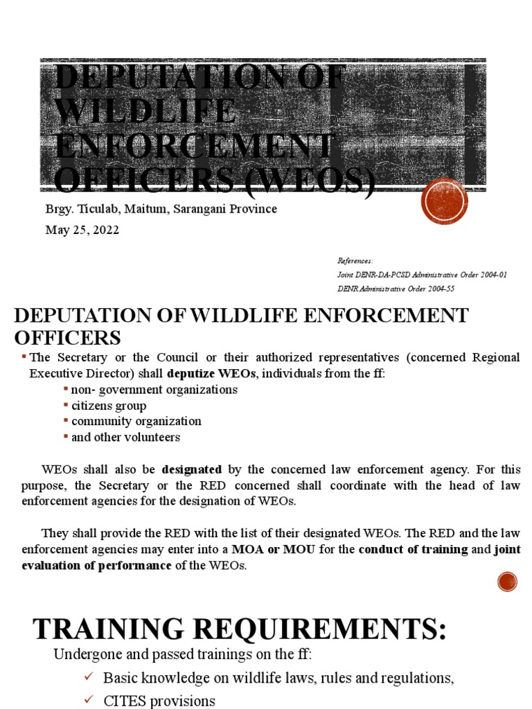 WEO Deputation | PDF