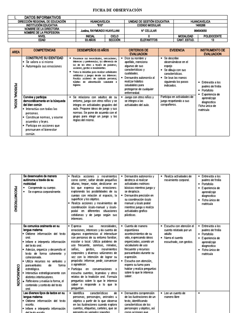 Informe Final de Observación Diagnostica Ok. | Descargar gratis PDF | Aprendizaje | Comunicación