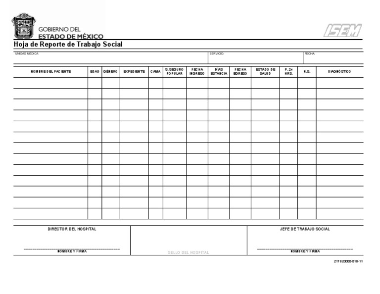 Hoja de Reporte de Trabajo Social | PDF