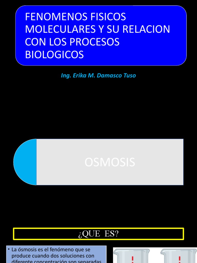 Fenomenos Fisicos Moleculares Y Su Relacion Con Los Procesos Biologicos ...