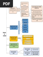 Mapa Conceptual Constitucion | PDF